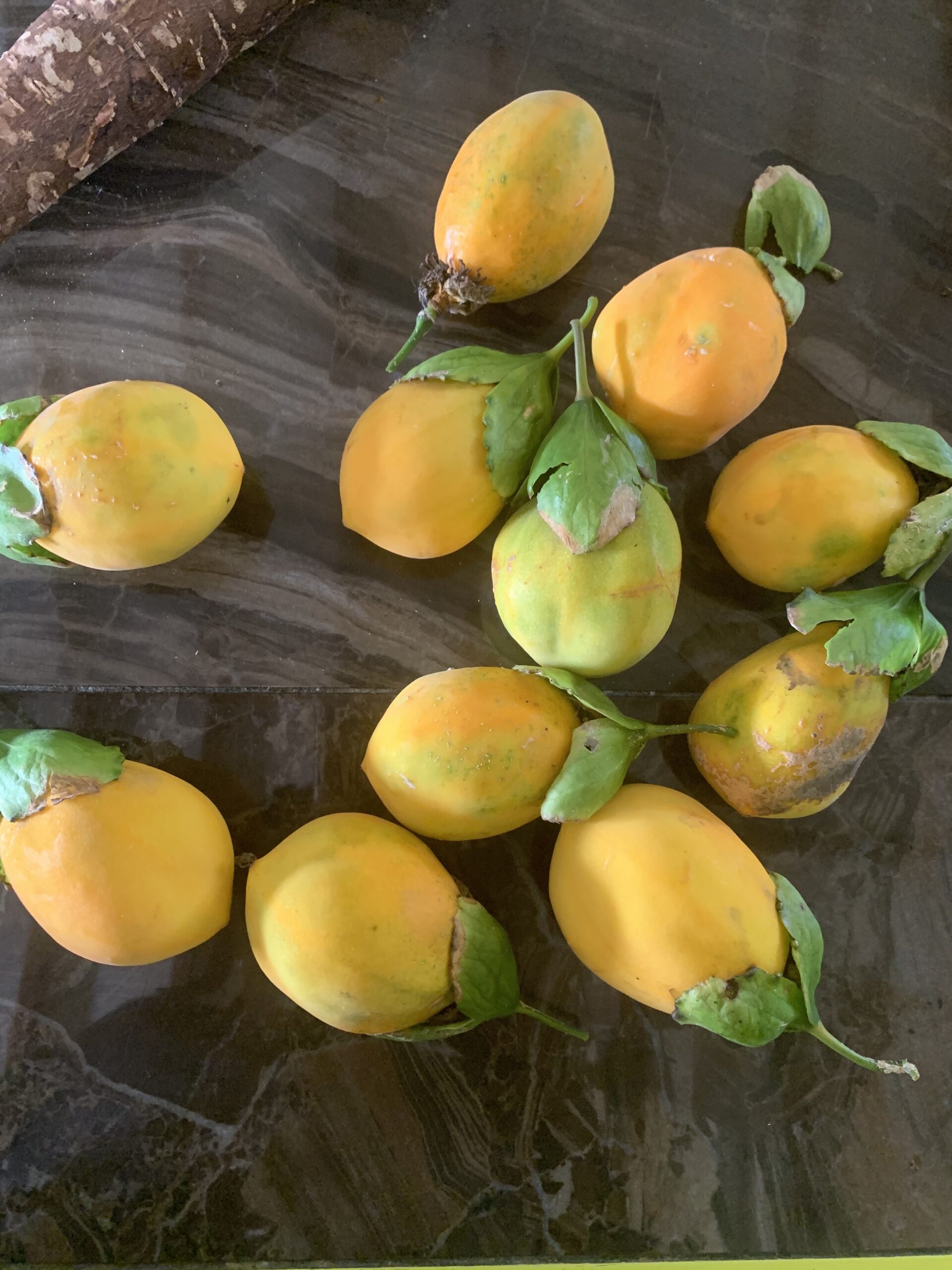 Laisse-moi te parler des fruits de mon jardin.... - Lyvia Cairo